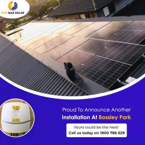 Gallery - Sun Max Solar